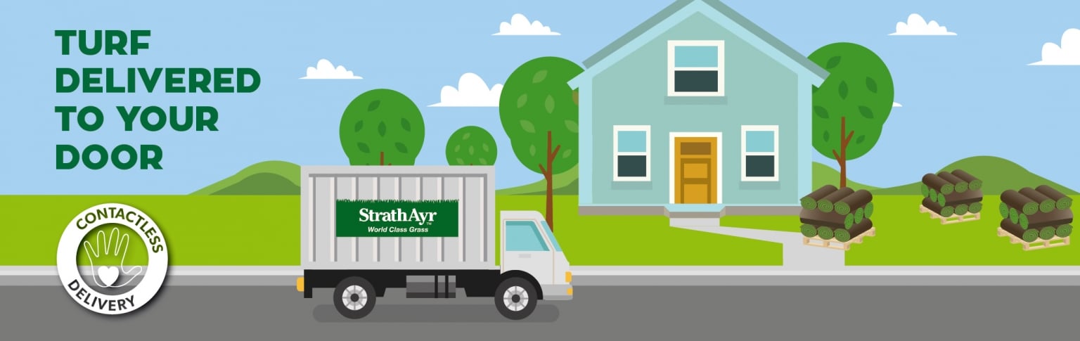 Homepage - StrathAyr