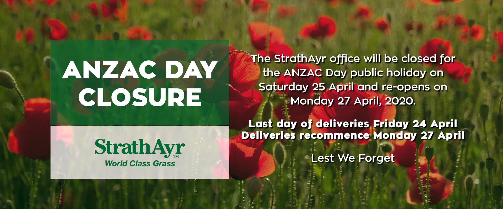 Homepage - StrathAyr